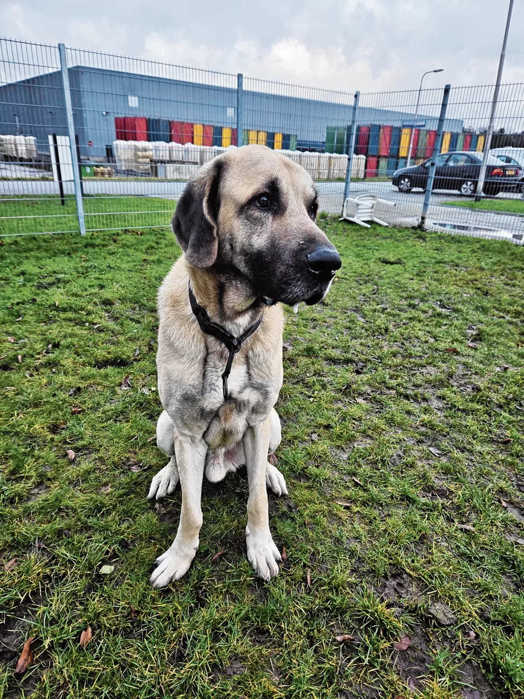 Ates is een knappe Turkse man